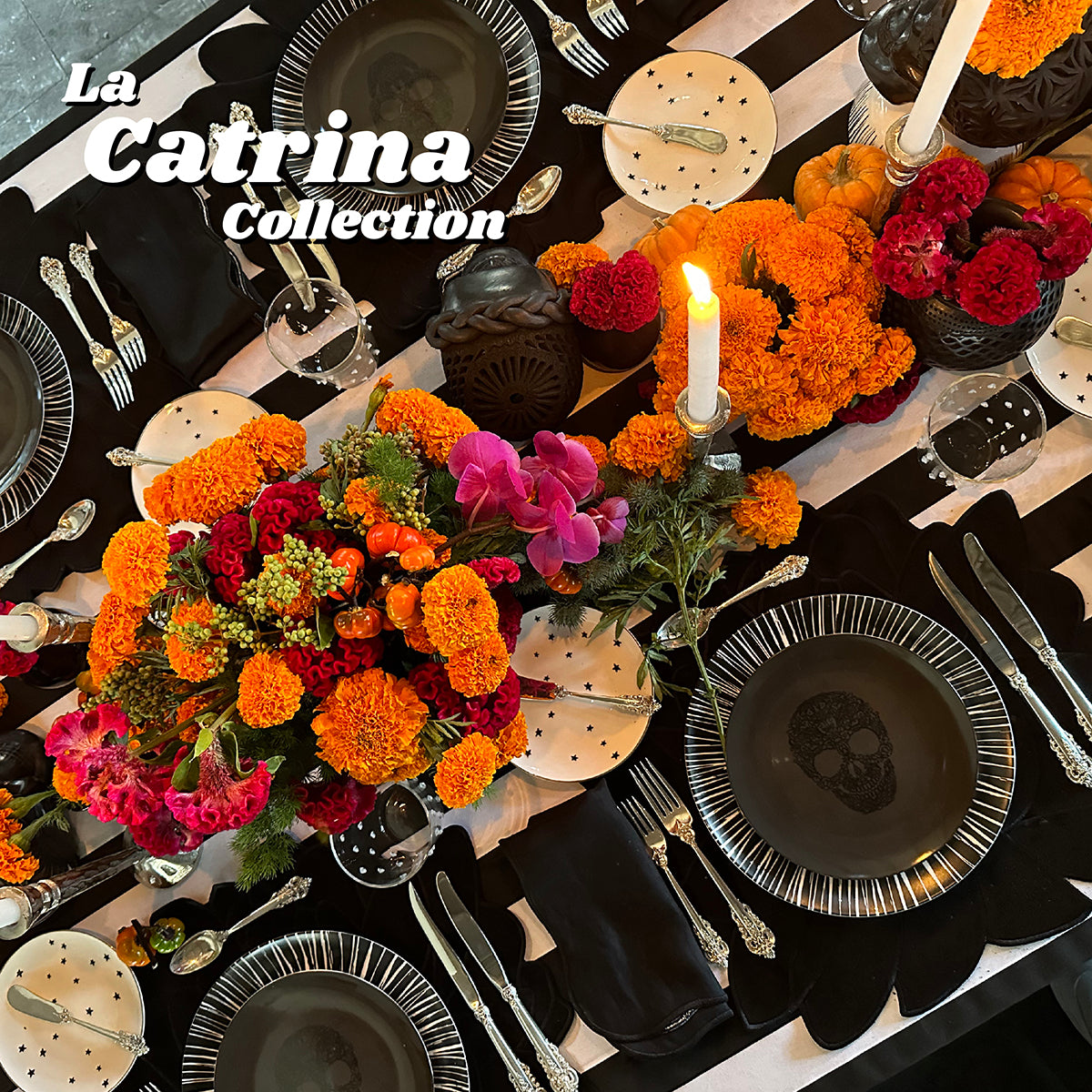 La Catrina Collection – ZASH Store