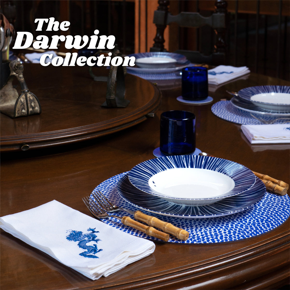 THE DARWIN COLLECTION – ZASH Store