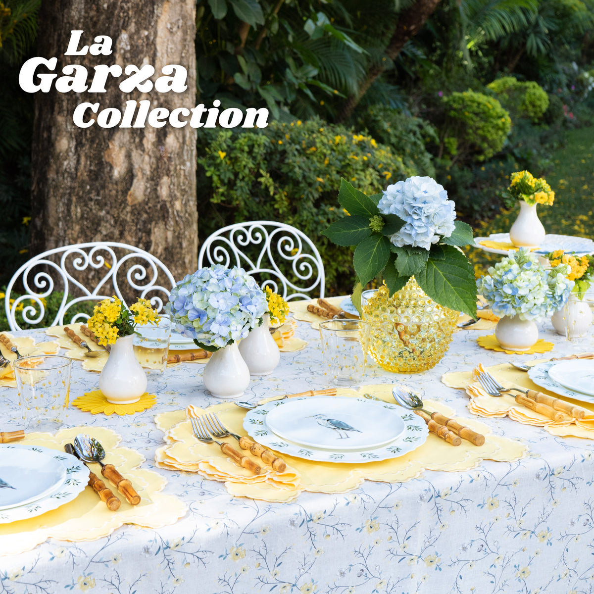 La Garza Collection – ZASH Store