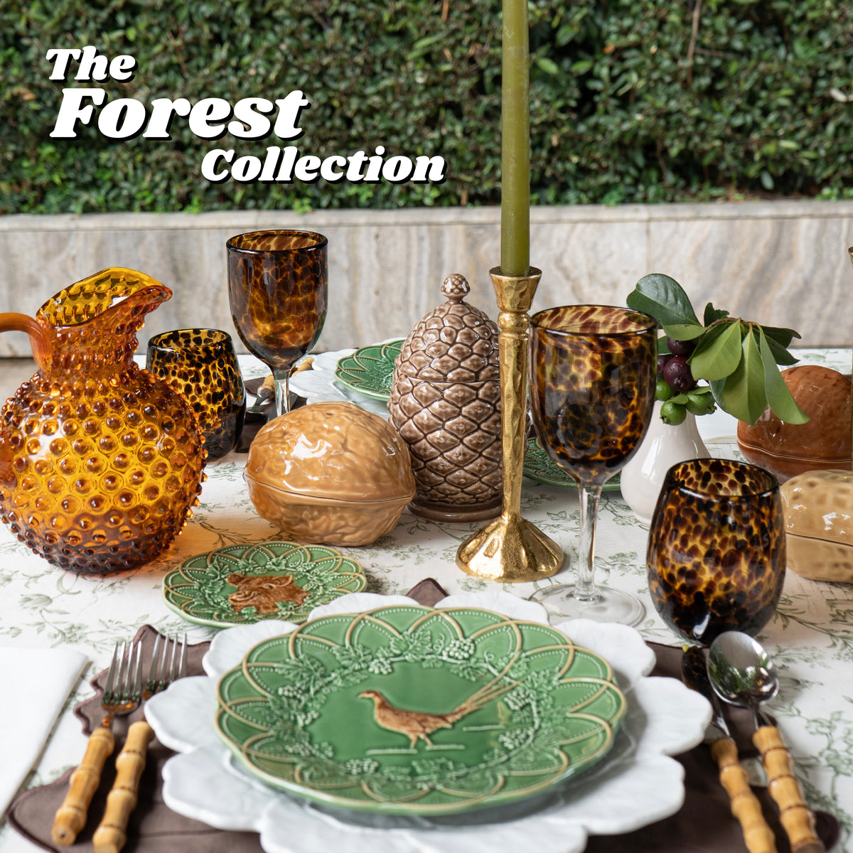 The Forest Collection – ZASH Store