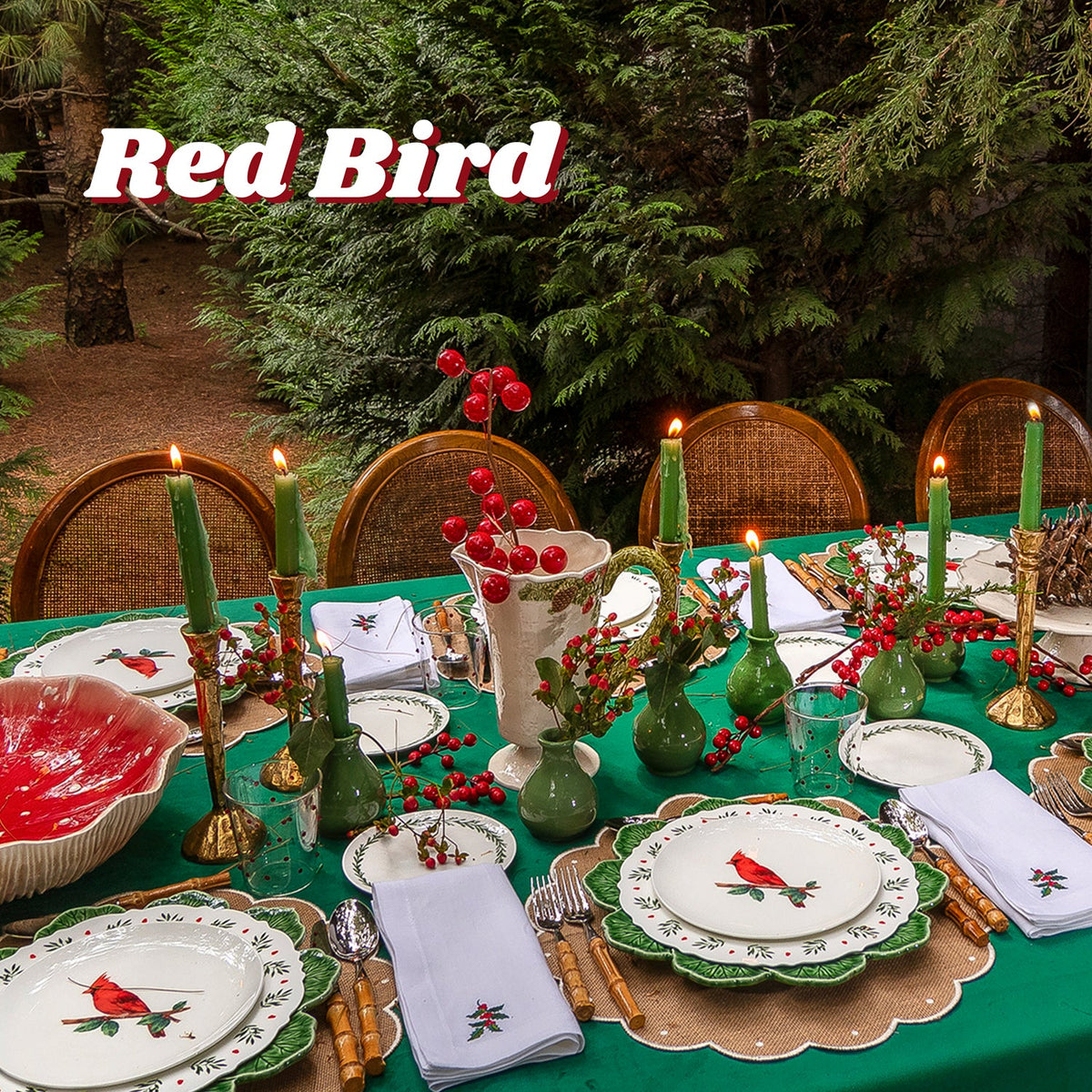 The Red Bird Collection – ZASH Store