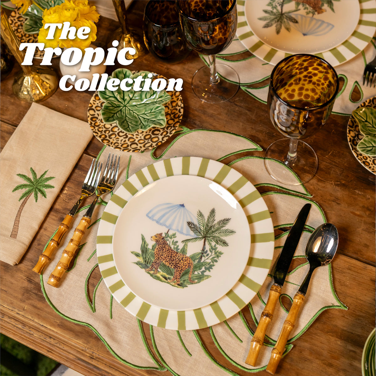 The Tropic Collection – ZASH Store